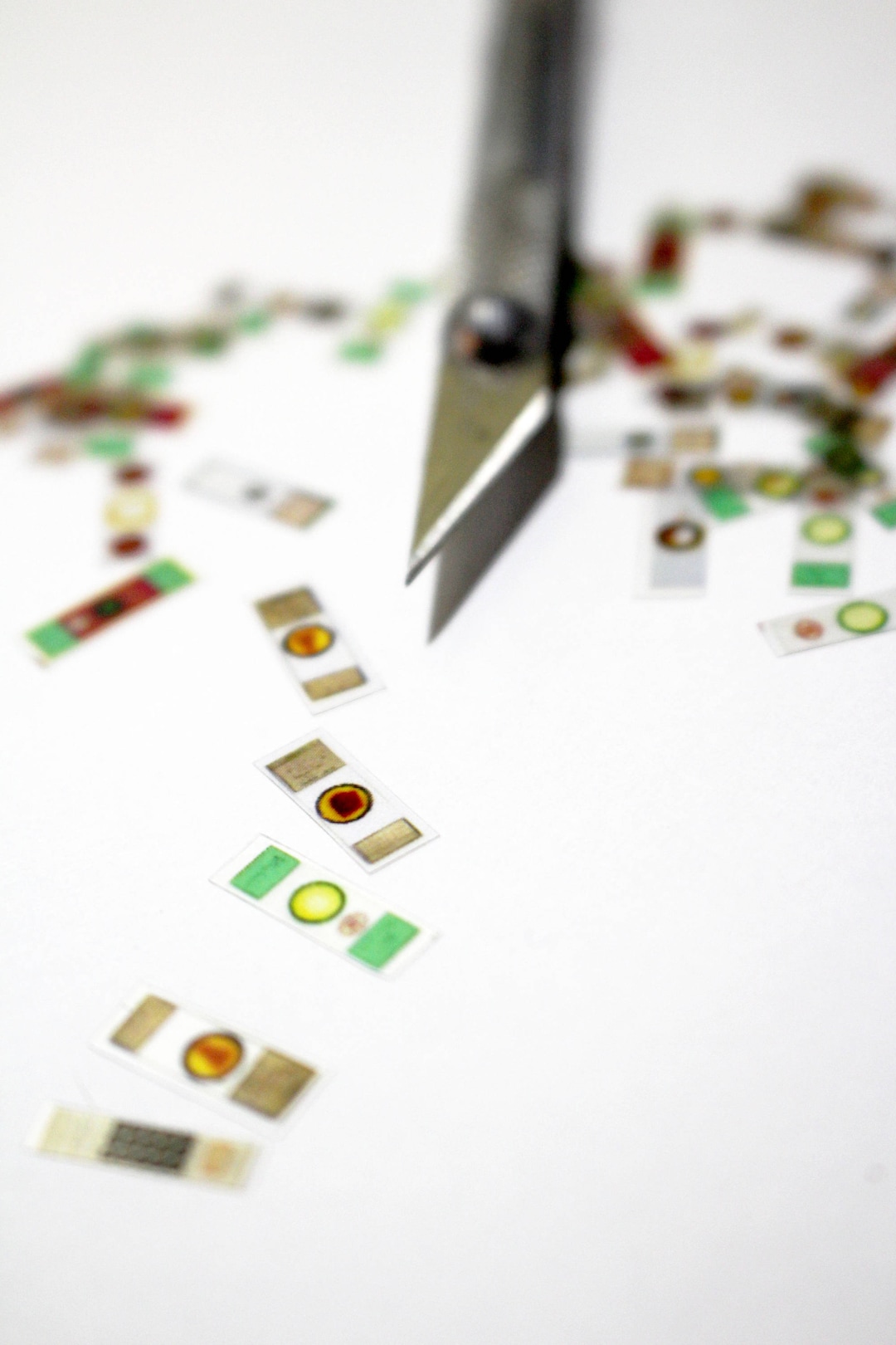 Miniature Microscope Slides: Dollhouse Science Lab Curio - Etsy