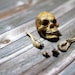 Miniature Human Bone Museum Display - Etsy