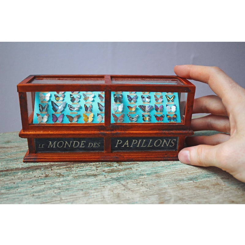 Miniature Display Case - Etsy