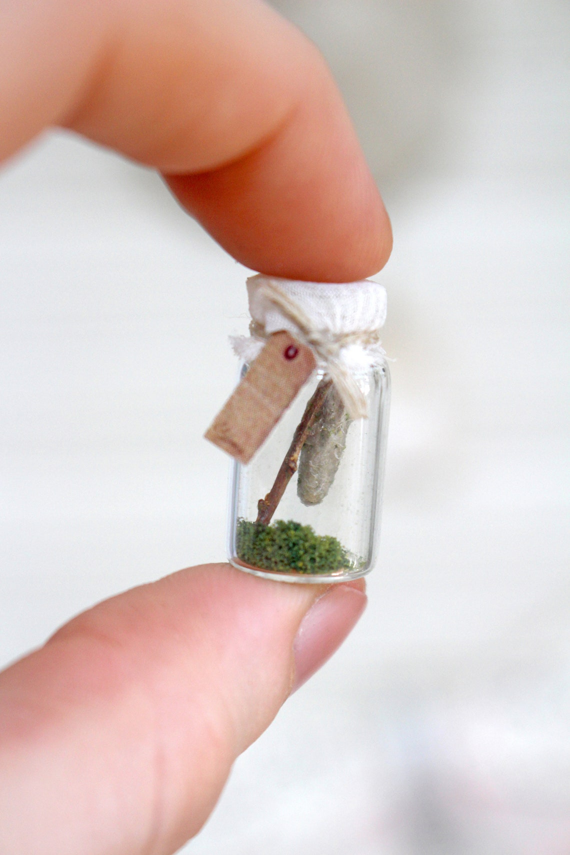 Miniature Cocoon in a Jar - Etsy
