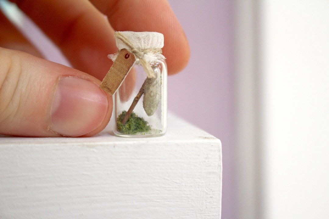 Miniature Cocoon in a Jar - Etsy
