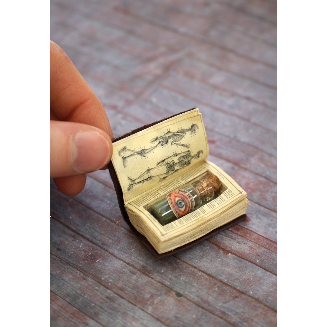 Miniature Antique Open Book With Secret Compartment and Mysterious ...