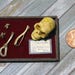 Miniature Human Bone Museum Display - Etsy