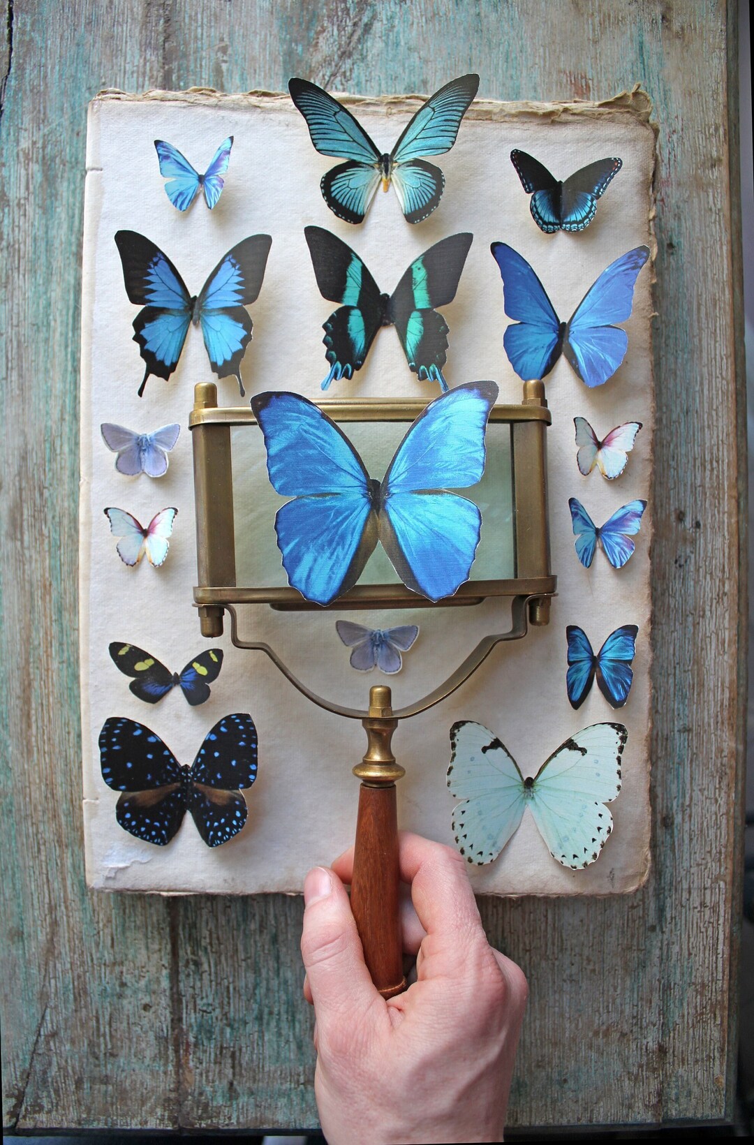 Blue Paper Butterflies: Realistic Pre-cut Stickers, Photo Props - Etsy