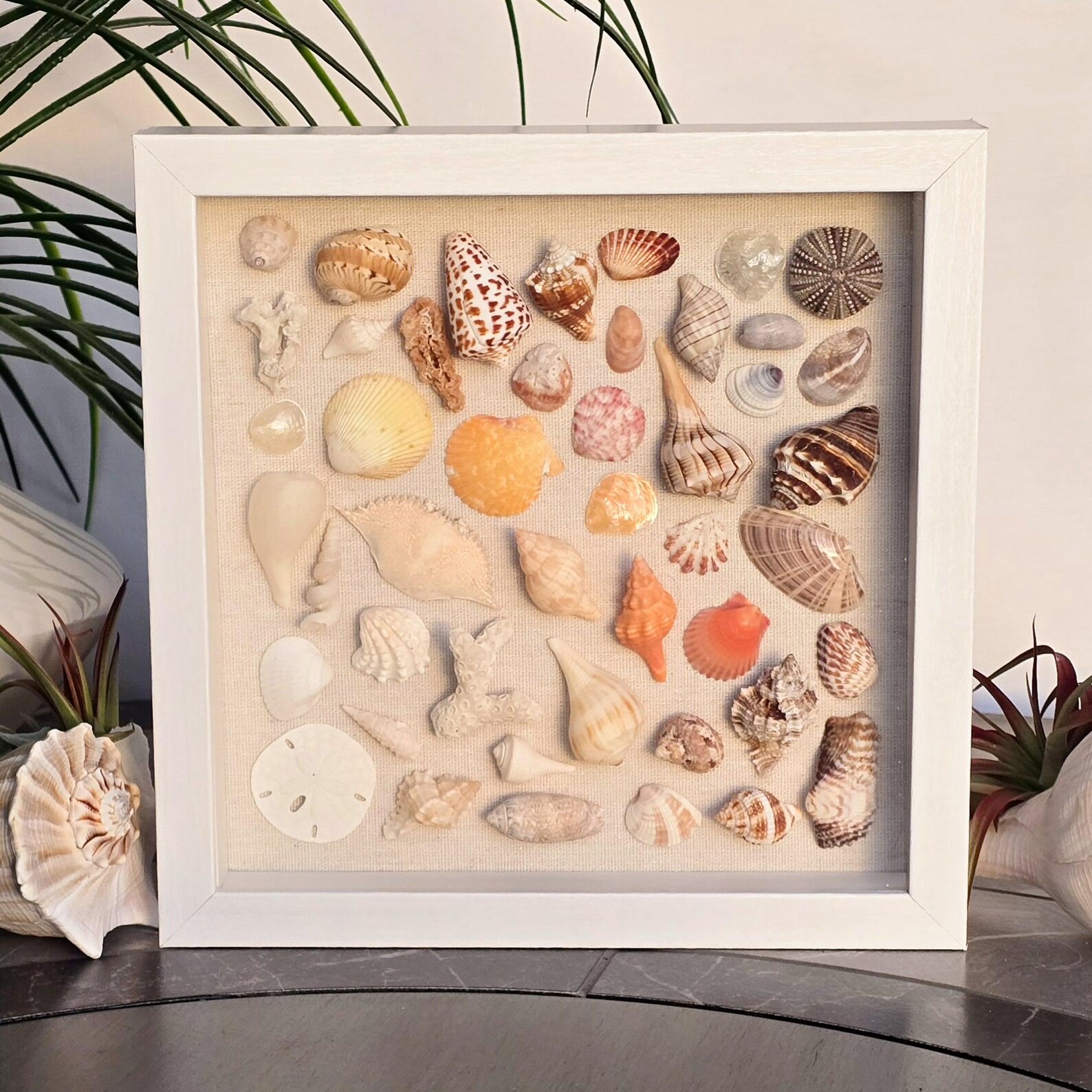 Seashell Mosaic Art Shadowbox - 10x10 Ombre #122 - Etsy