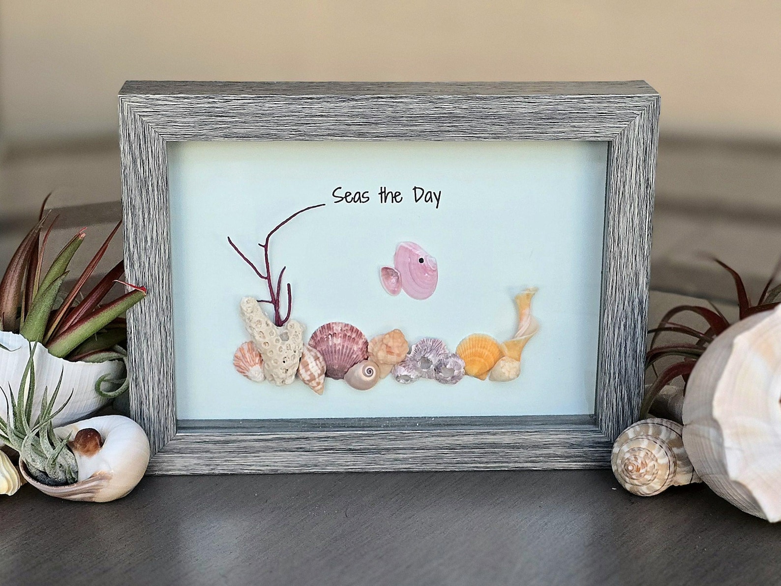 Seashell Mosaic Art Shadowbox - 5x7 Seas the Day #204 - Etsy