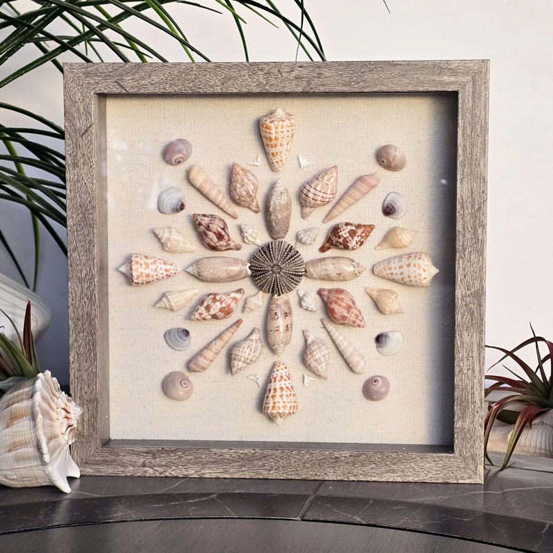 Seashell Mosaic Art Shadowbox - 10x10 Mandala #121 - Etsy