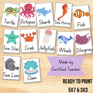 Preschool Sea Animals Flashcards Toddler Sea Animals Flashcards ...