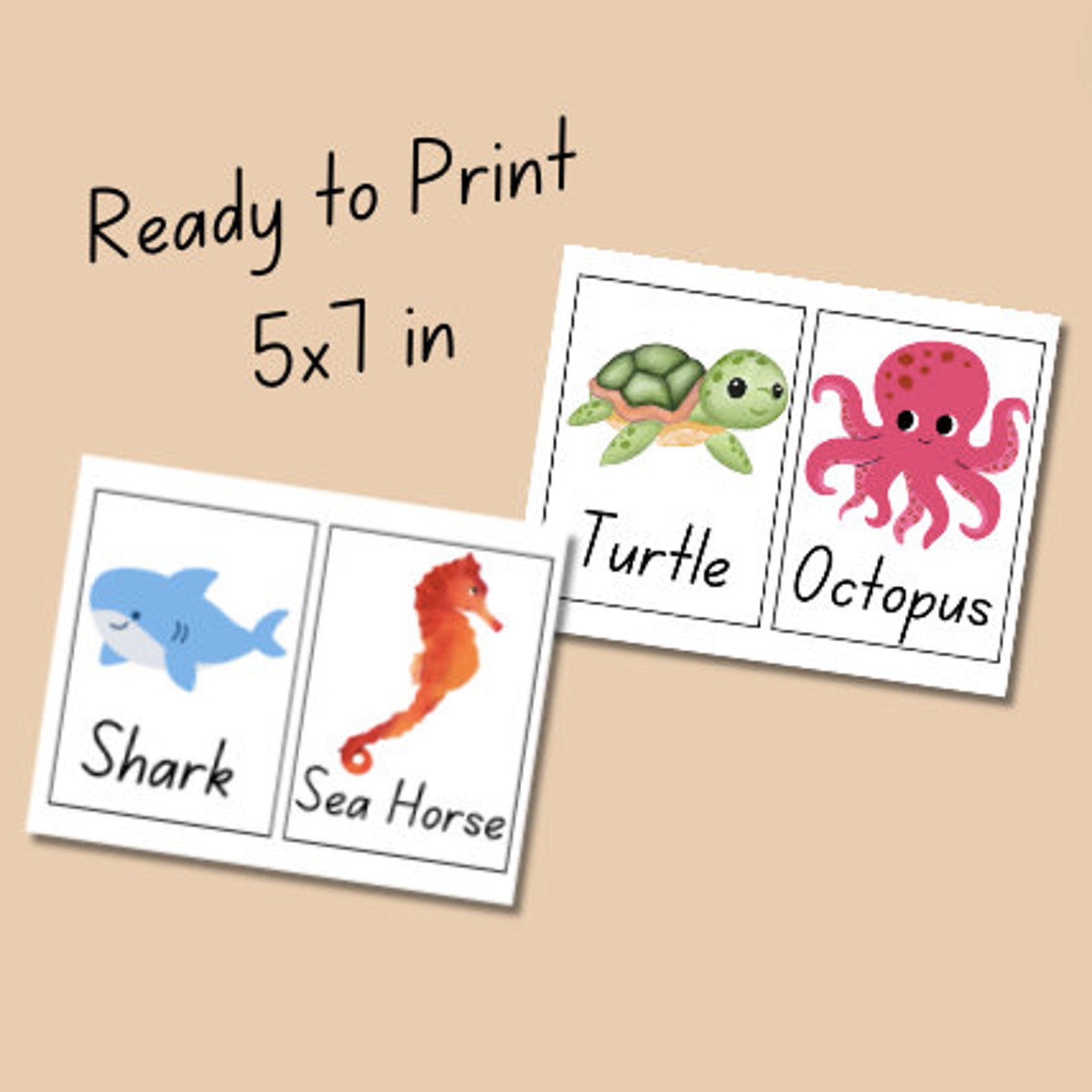 Preschool Sea Animals Flashcards Toddler Sea Animals Flashcards ...