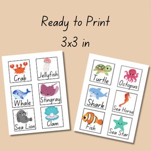 Preschool Sea Animals Flashcards Toddler Sea Animals Flashcards ...