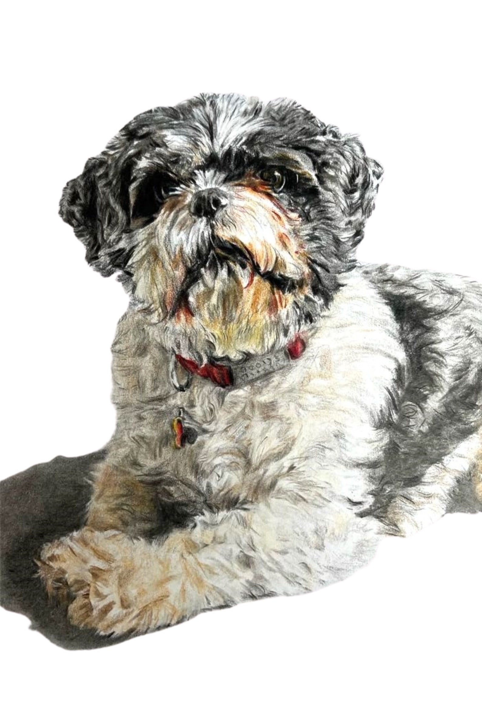 Custom Colored Pencil Pet Portrait Hand-drawn Realistic Animal Art - Etsy