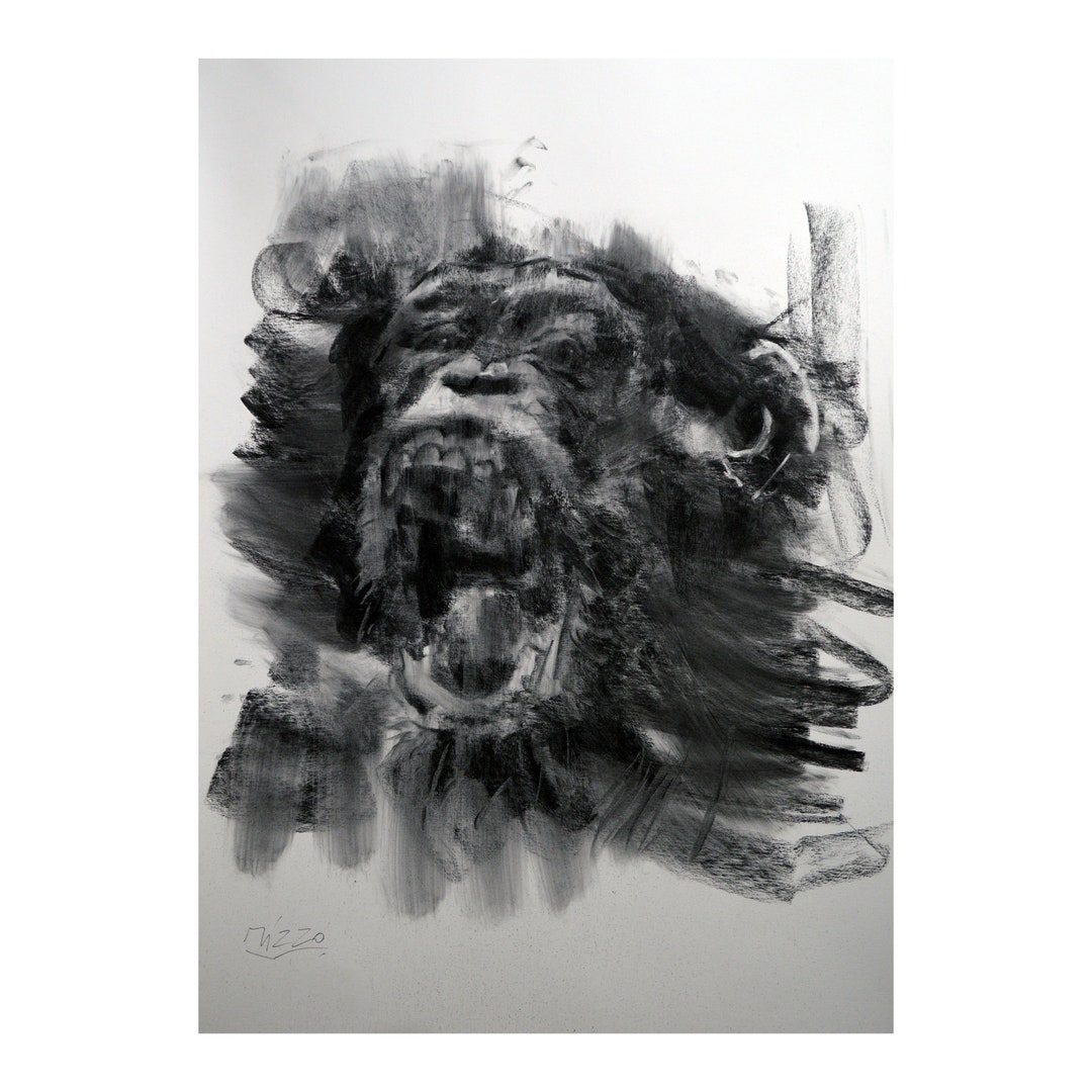 Monkey Original Drawing Charcoal Painting Illustration One of a Kind ...