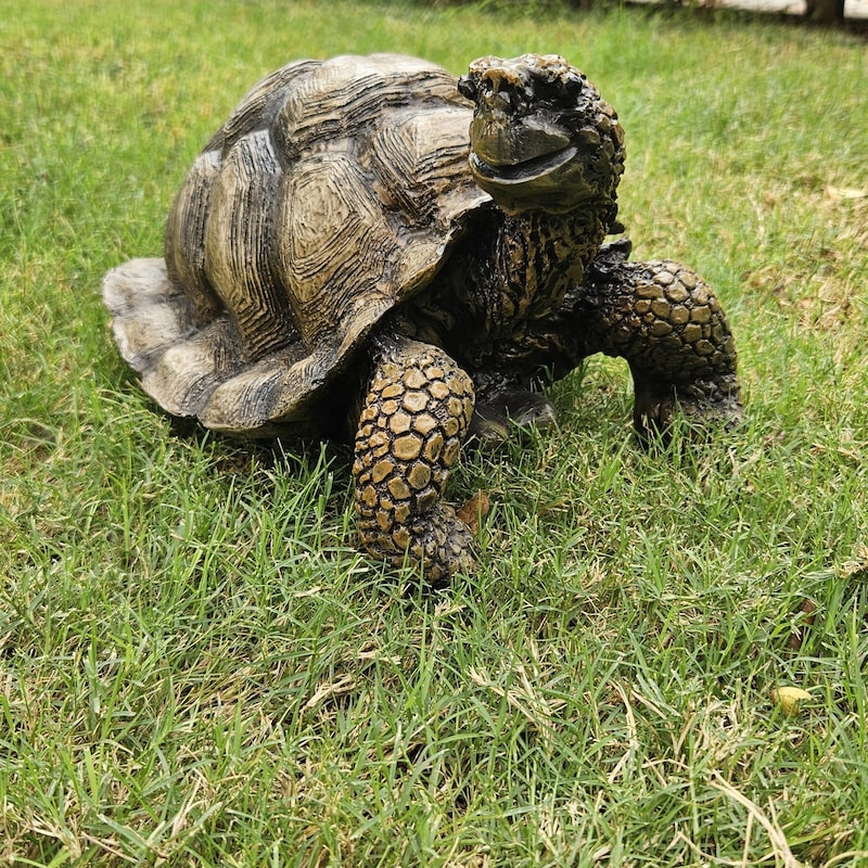 Large Garden Turtle Statue - Etsy