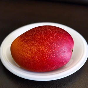 Grafted Miyazaki Mango Tree: Egg of the Sun Variety (3-4ft Tall) - Etsy