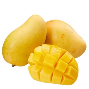 Manila Mango Tree Seedling: Fast-growing, High-yield - Etsy