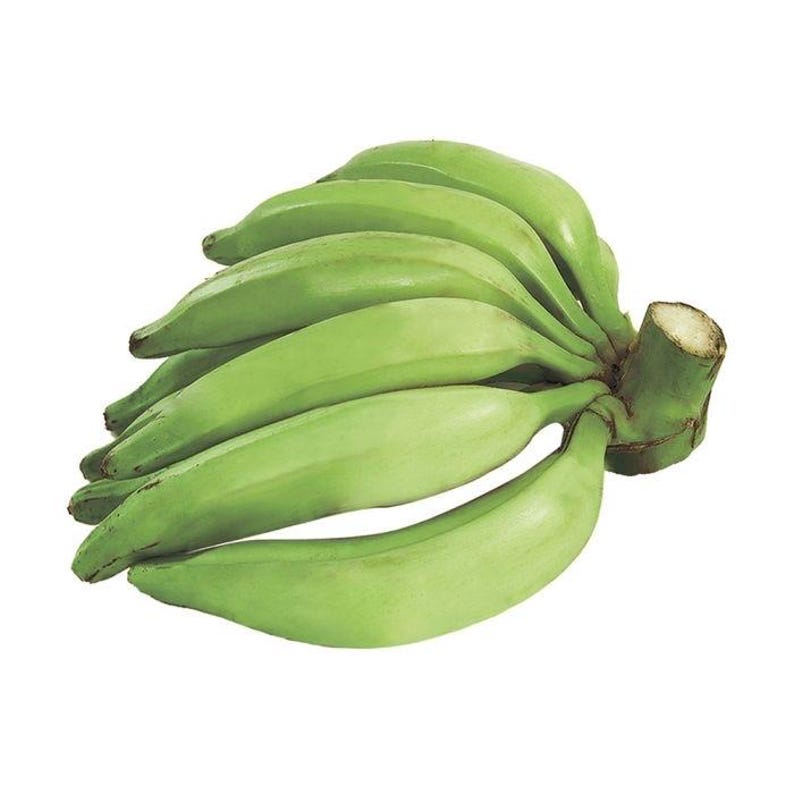 Macho Platano Plantain ( Musa Balbisiana) Semilla Platano Live Plant ...