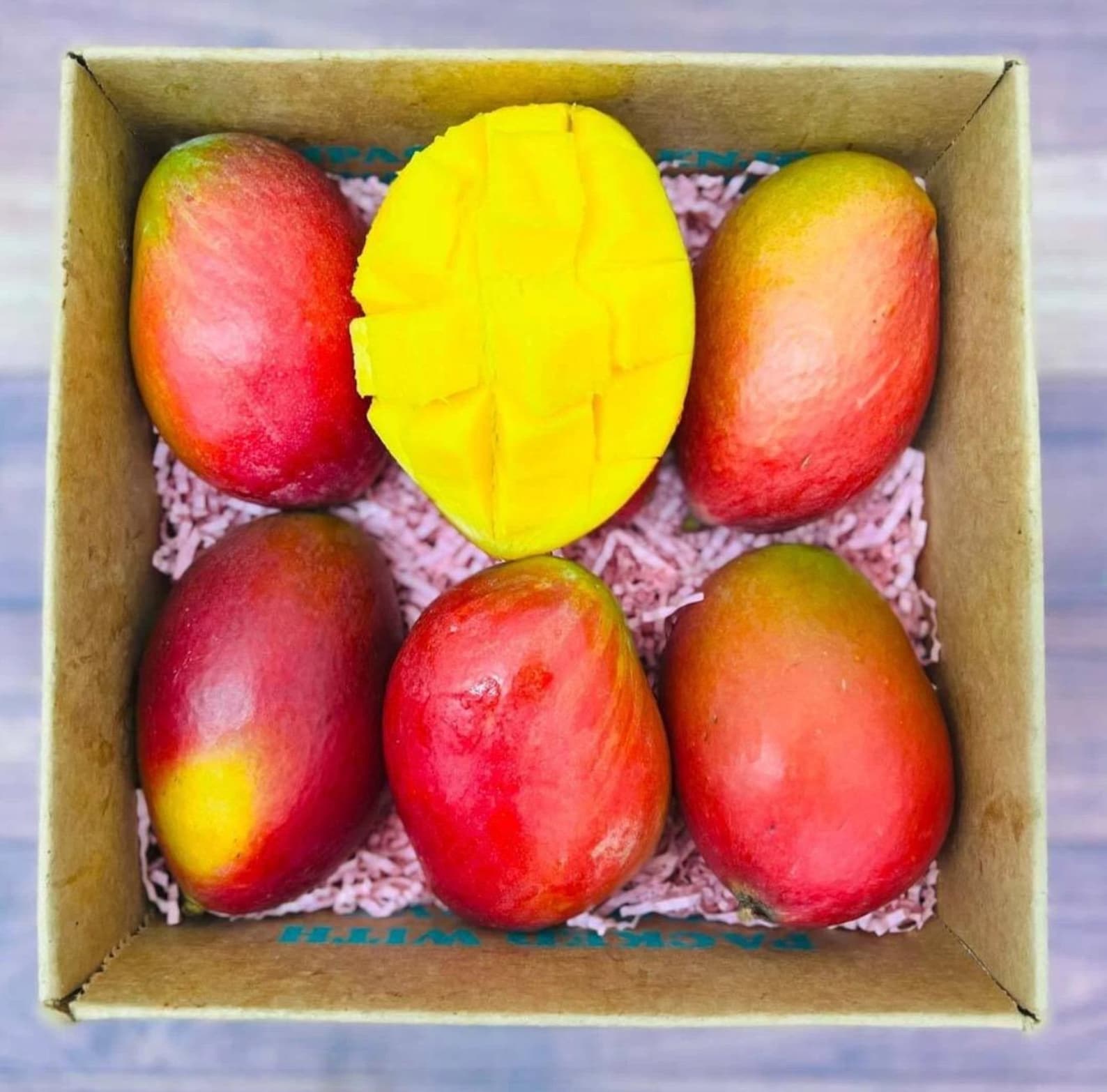 Seedling Palmer Mango Tree: Live Fruit Tree (10-24in) Mangifera Indica ...