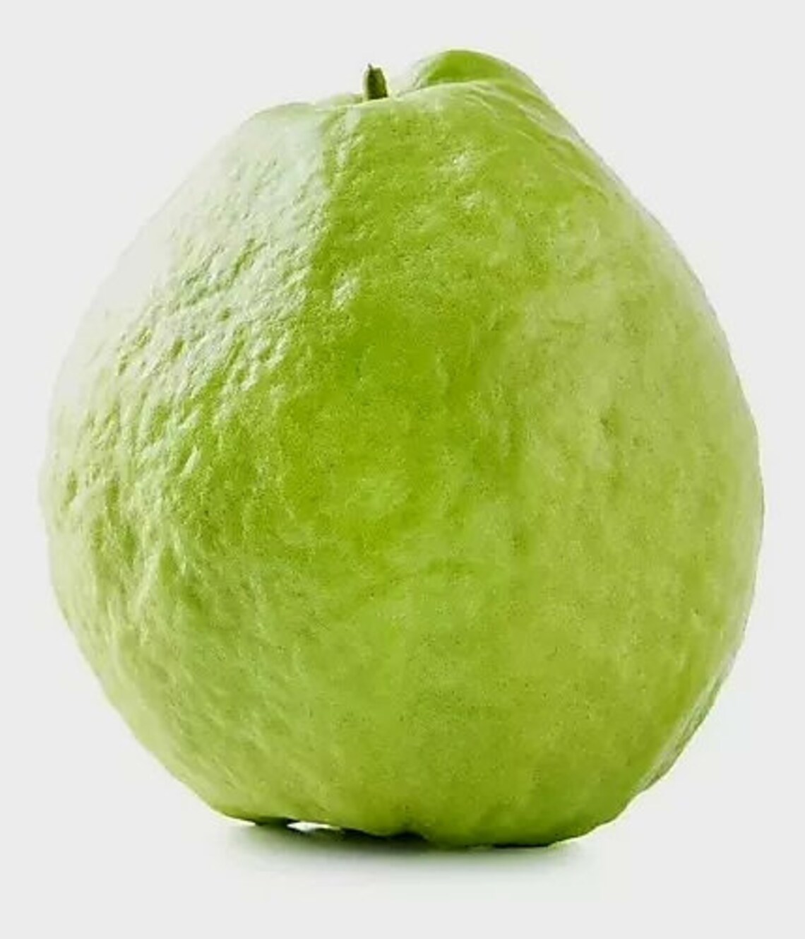 Guayaba Pera Blanca (guava White Pear) (PSIDIUM Guajava)live Fruit Tree ...
