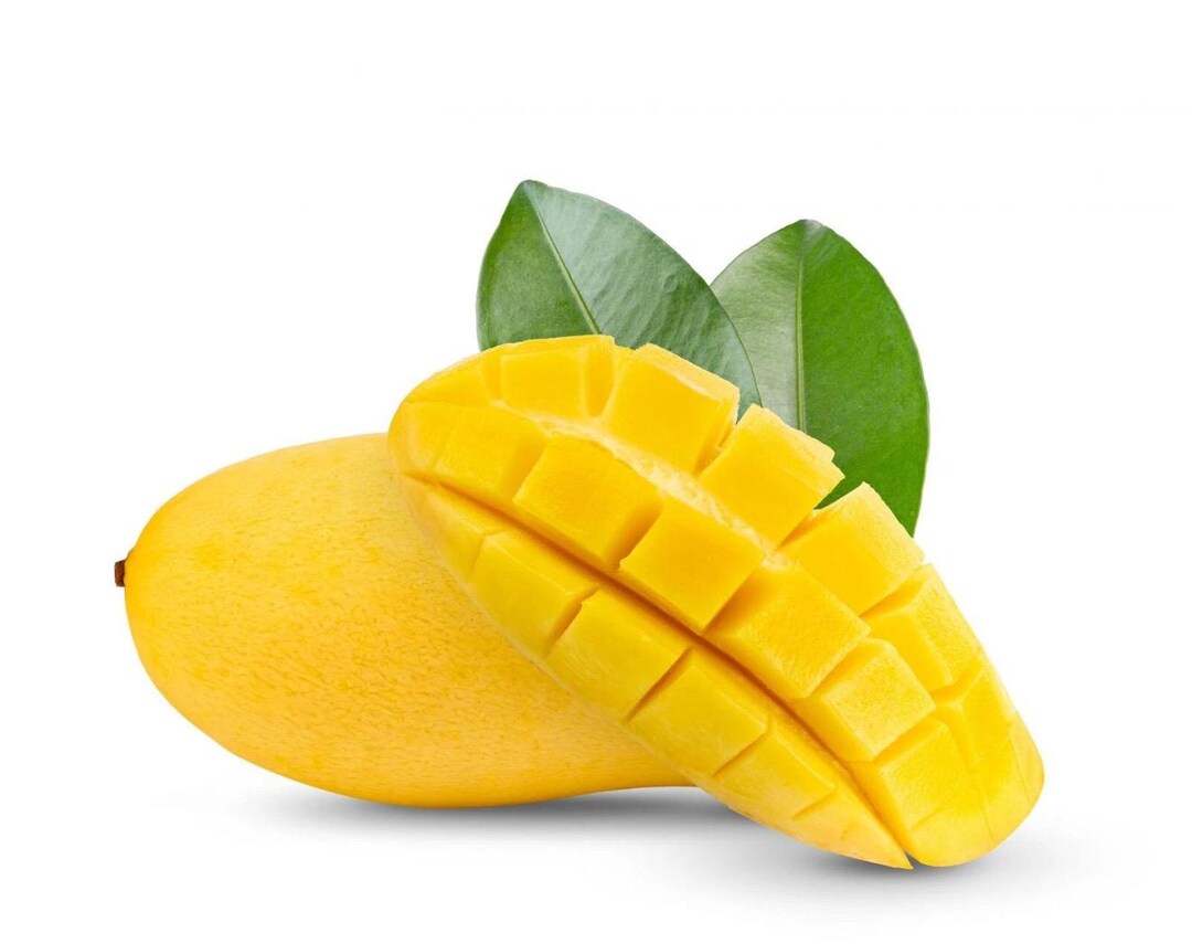 Manila Mango Tree Seedling: Fast-growing, High-yield - Etsy