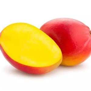 Grafted Palmer Mango Tree: Early Fruiting, Sweet Flavor (3-4ft Tall) - Etsy