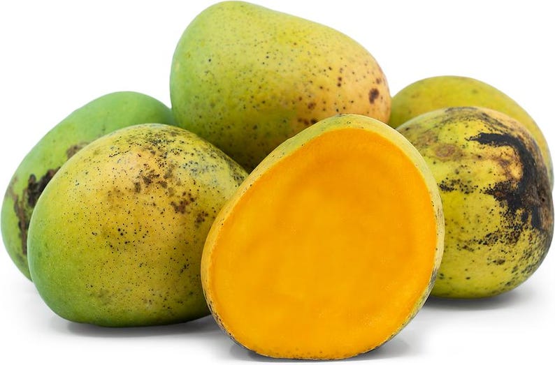 Alphonso Mango Seedling: Live Fruit Tree (2ft) - Etsy