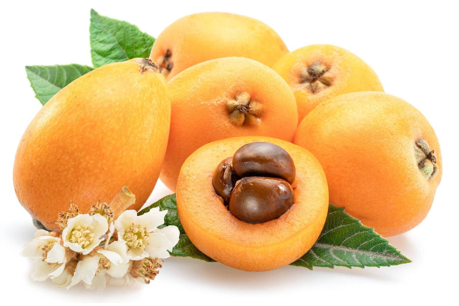 Grafted Loquat ( Níspero Japones Injertdo)golden Nugget) (pepita De Oro ...