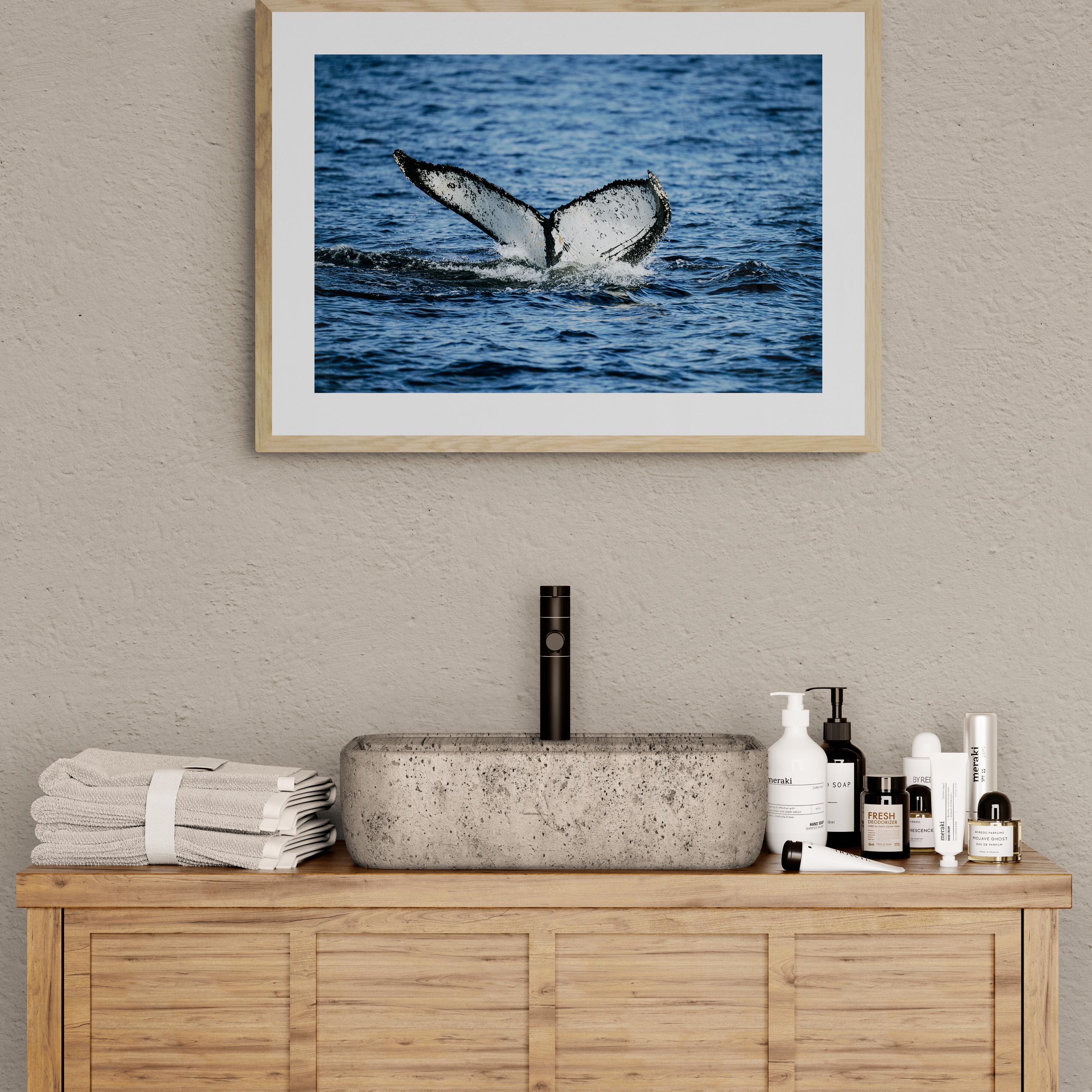 Whale Tail Splash | Dynamic Wildlife Photography in Antarctic Waters - Etsy