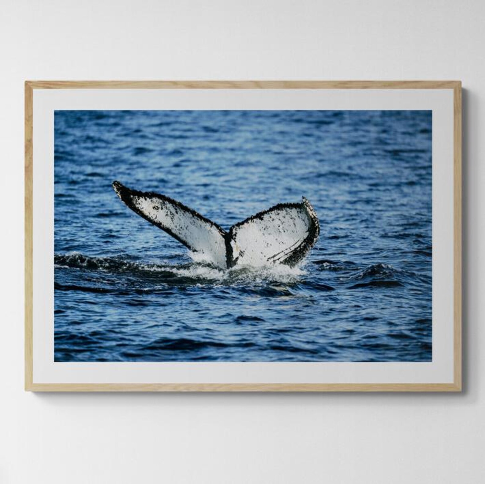 Whale Tail Splash | Dynamic Wildlife Photography in Antarctic Waters - Etsy