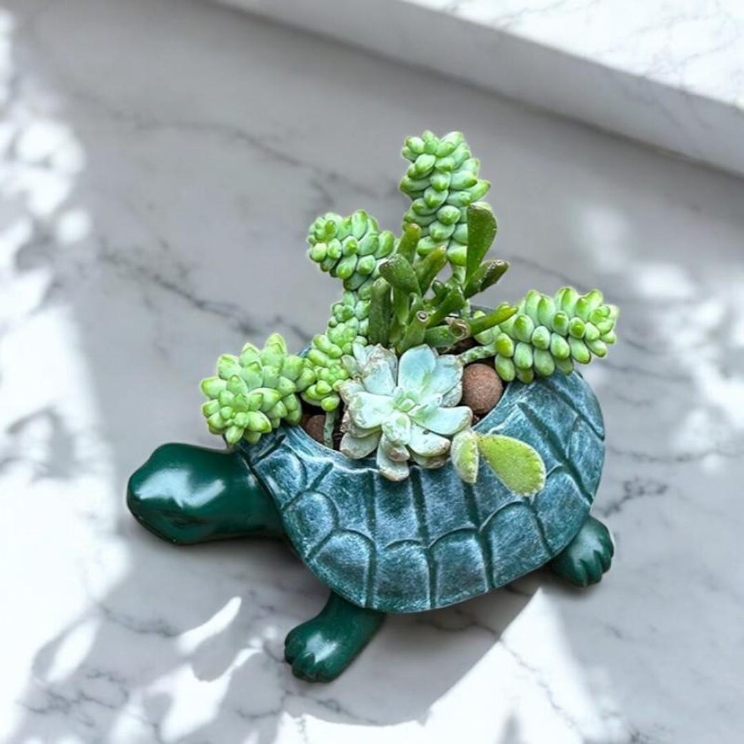 Cute Indoor Turtle Planter, Home Garden Flower Pot, Turtle Succulent ...