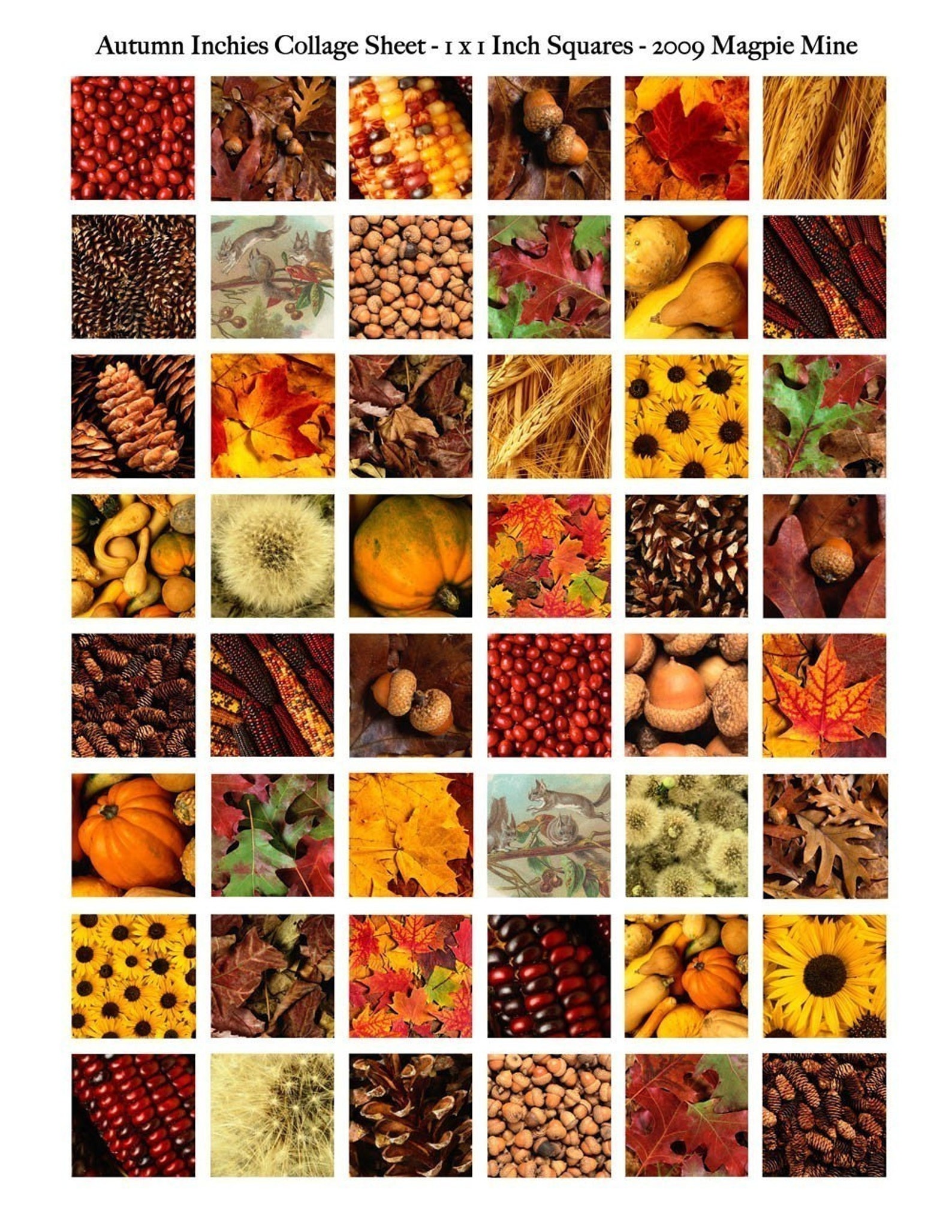 Autumn Inchies Instant Digital Download - Collage Sheet - 1 X 1 Inch ...