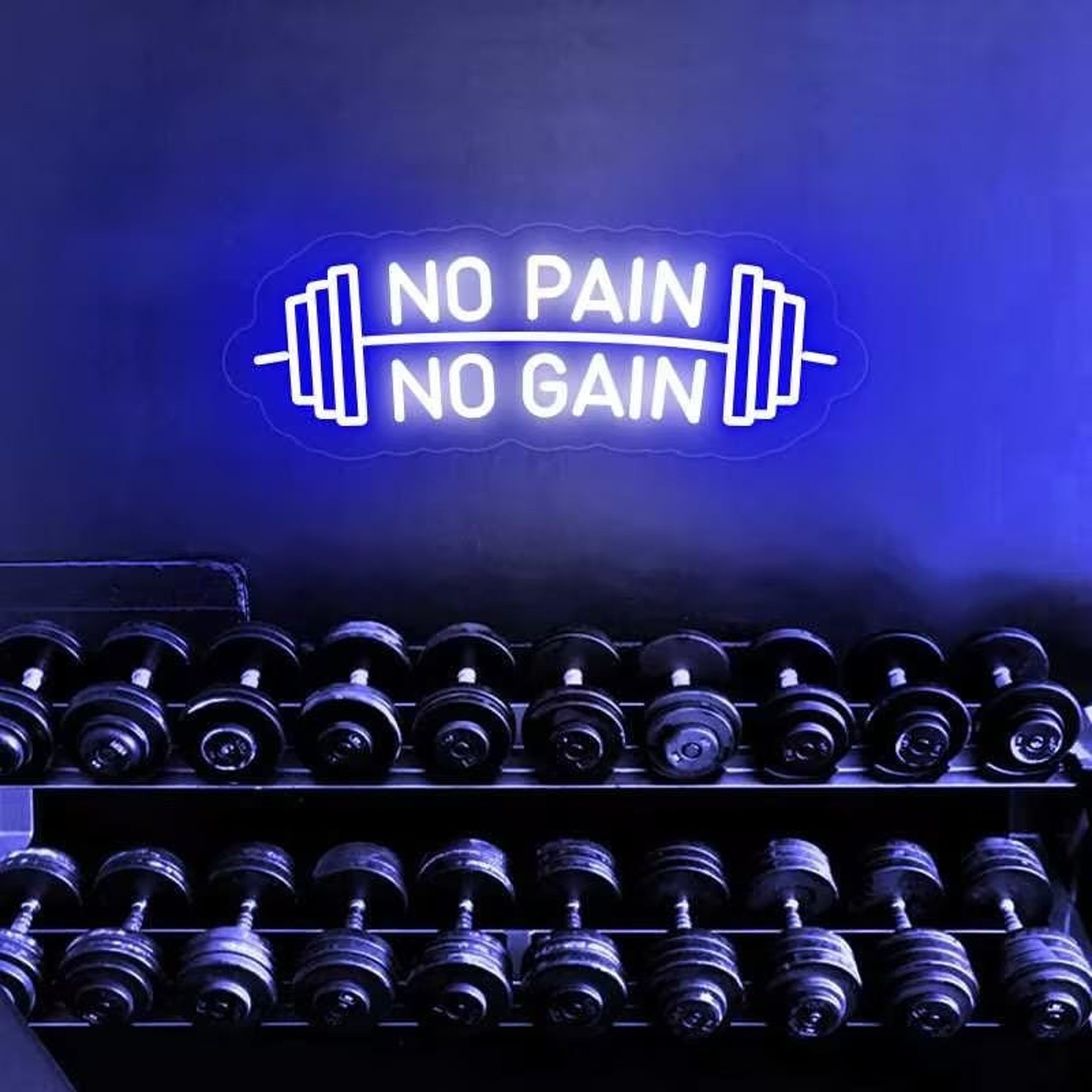 No Pain No Gain Neon Sign, Weightlifting Wall Art Sign, Fitness Wall ...