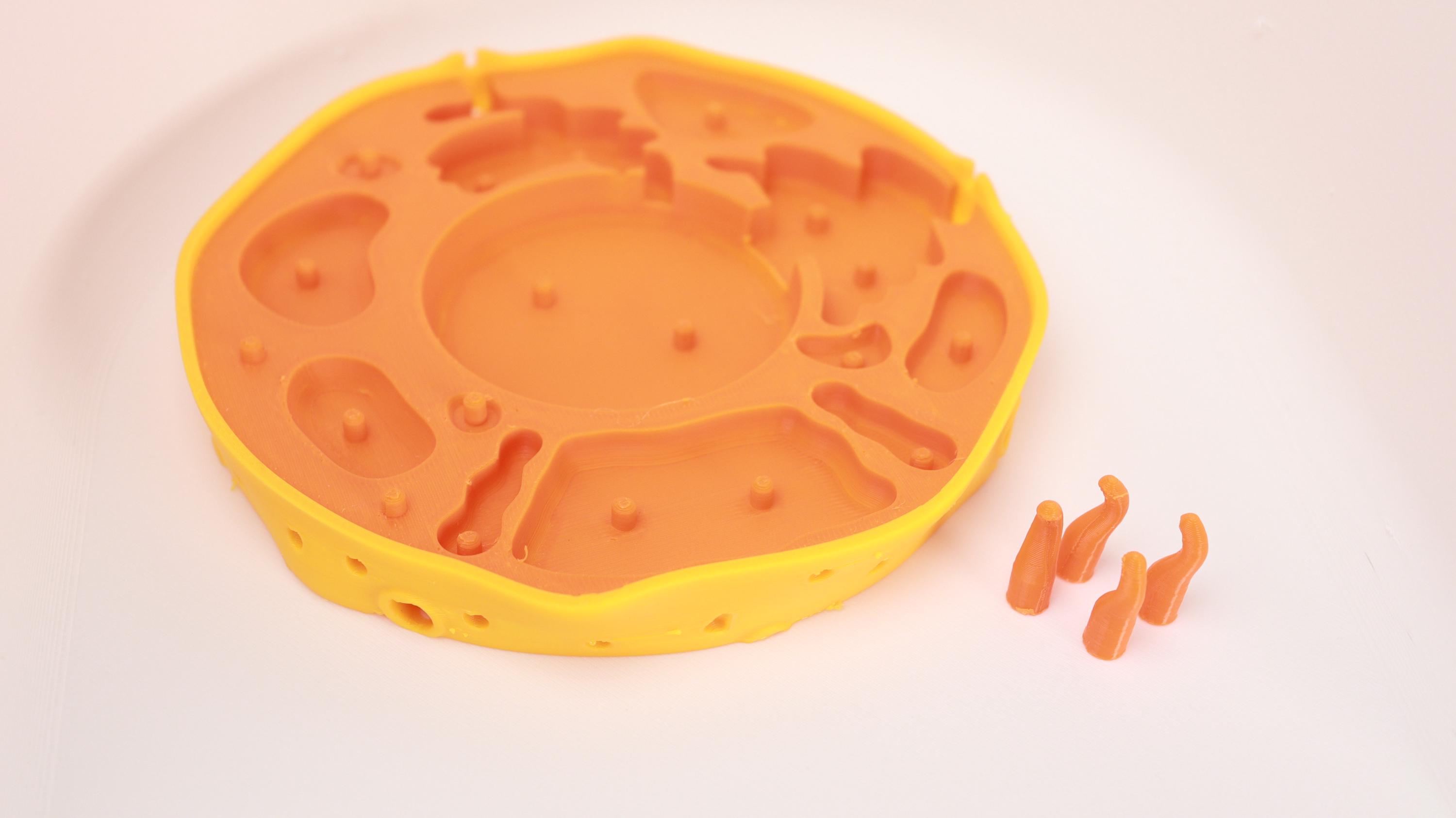 Animal Cell Model for Classrooms, Homeschool, STEM Camps & Events - 3D ...