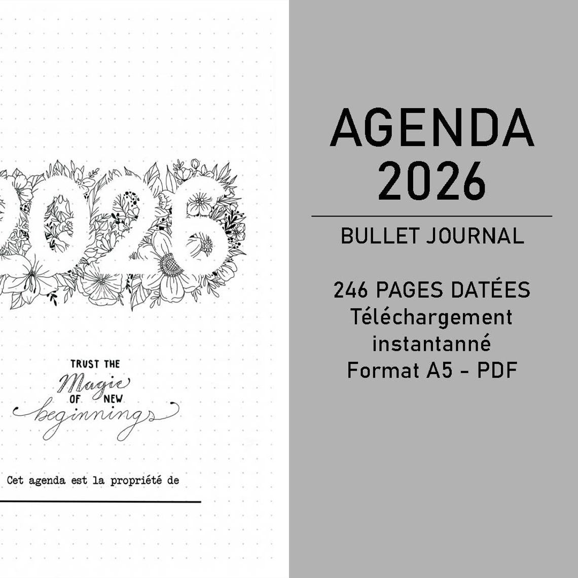 Bullet Journal 2026 - Agenda 2026 - défis et objectifs - Etsy Canada