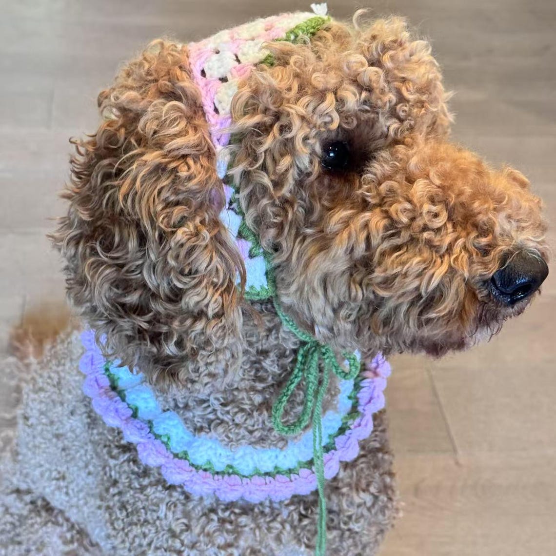 Crochet Pet Bonnet & Bandana Pattern | Small Dog, Cat Costume (PDF ...
