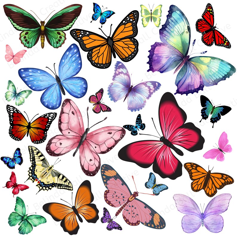 Printable Beautiful Butterflies in Living Color PNG, Colorful ...