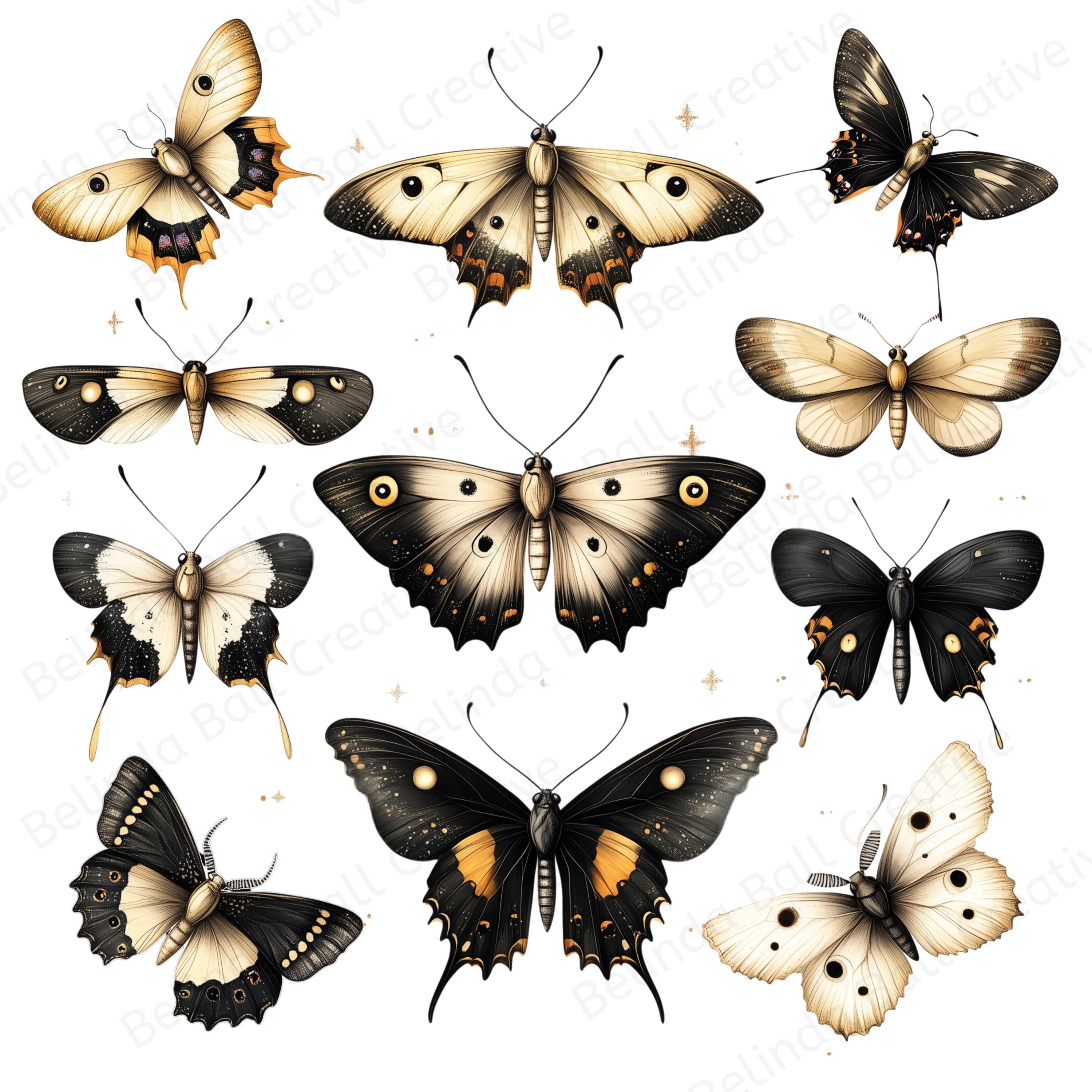 Printable Vintage Butterfly and Moth PNG, Cottagecore Aesthetic Design ...