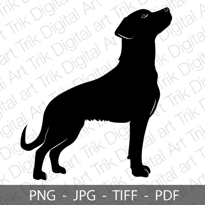 Dog PNG, Art PNG, Silhouette, Png, Clipart PNG, Print, Pets, Cute Dog ...