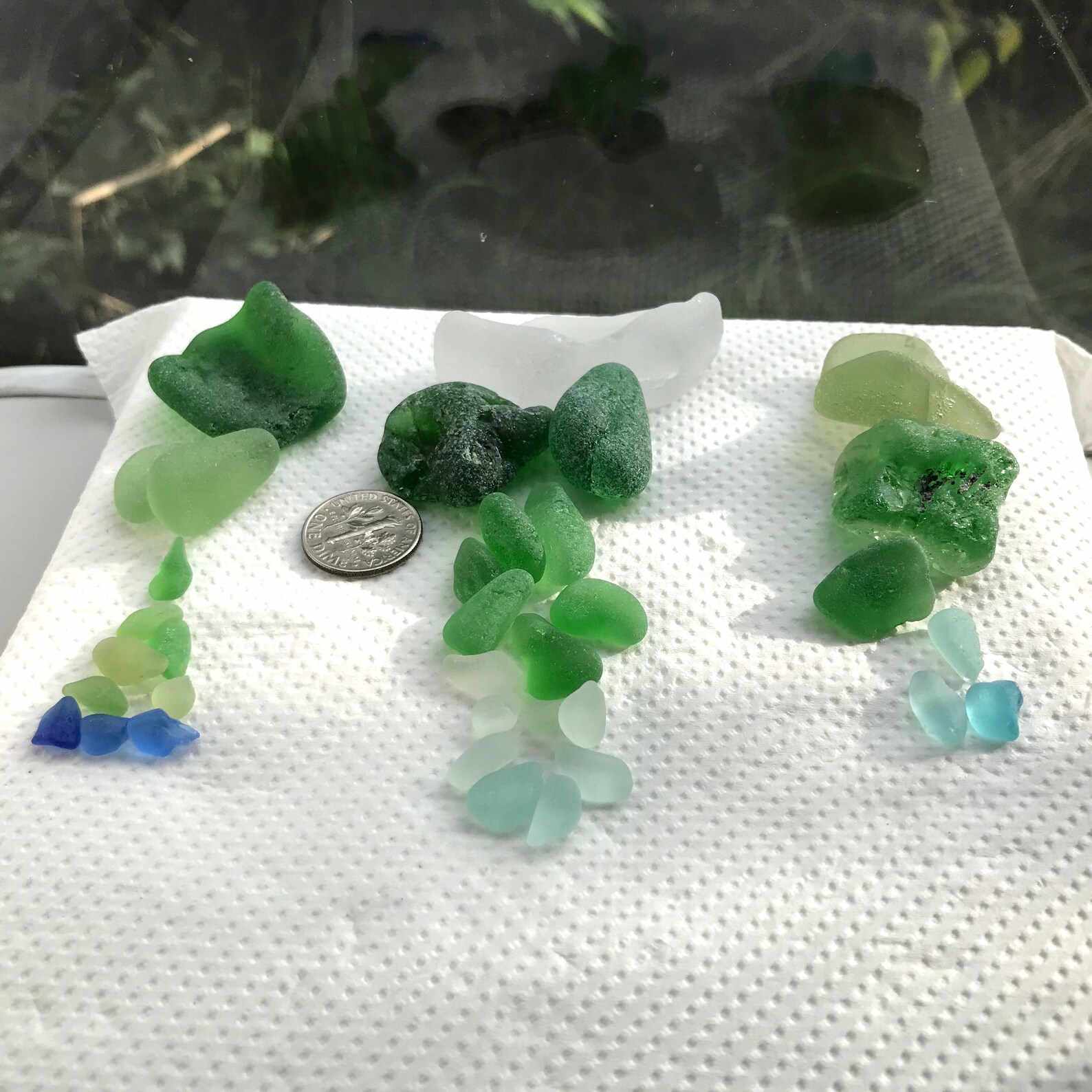 Large Sea Glass Cactus Plants Natural Surf Tumbled Beach Glass Art ...