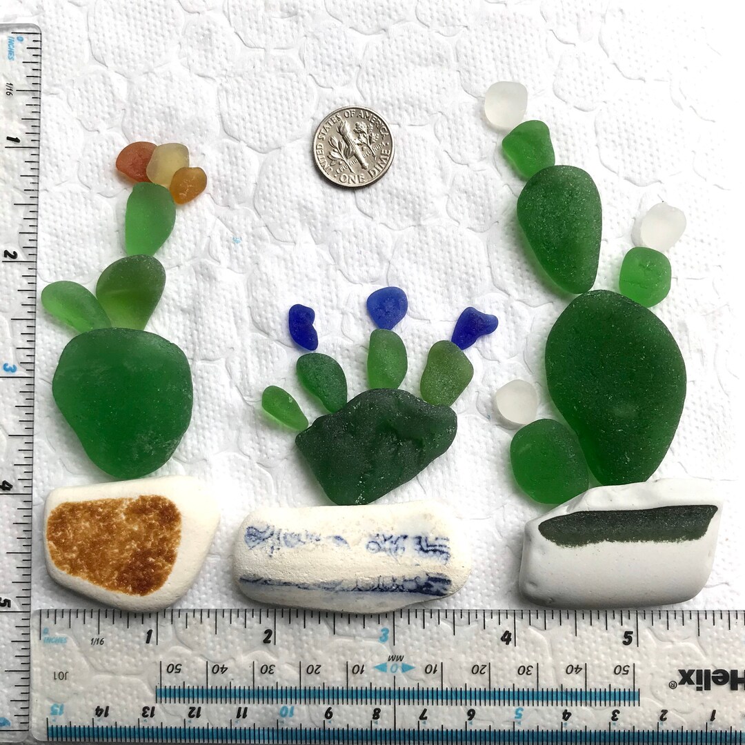 Large Sea Glass Cactus Plants Natural Surf Tumbled Beach Glass and Sea ...