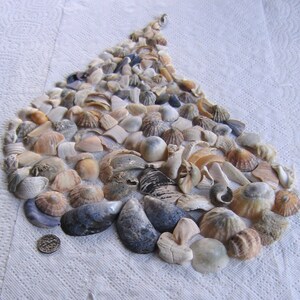132 Natural Sea Shells Shell Fragments Art Mosaic Craft - Etsy