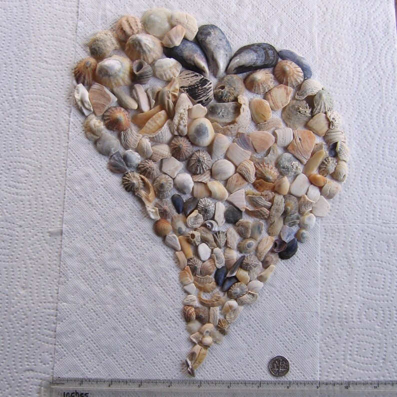 132 Natural Sea Shells Shell Fragments Art Mosaic Craft - Etsy