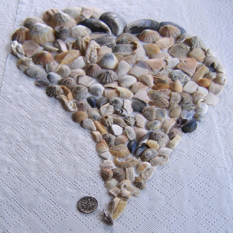 132 Natural Sea Shells Shell Fragments Art Mosaic Craft - Etsy