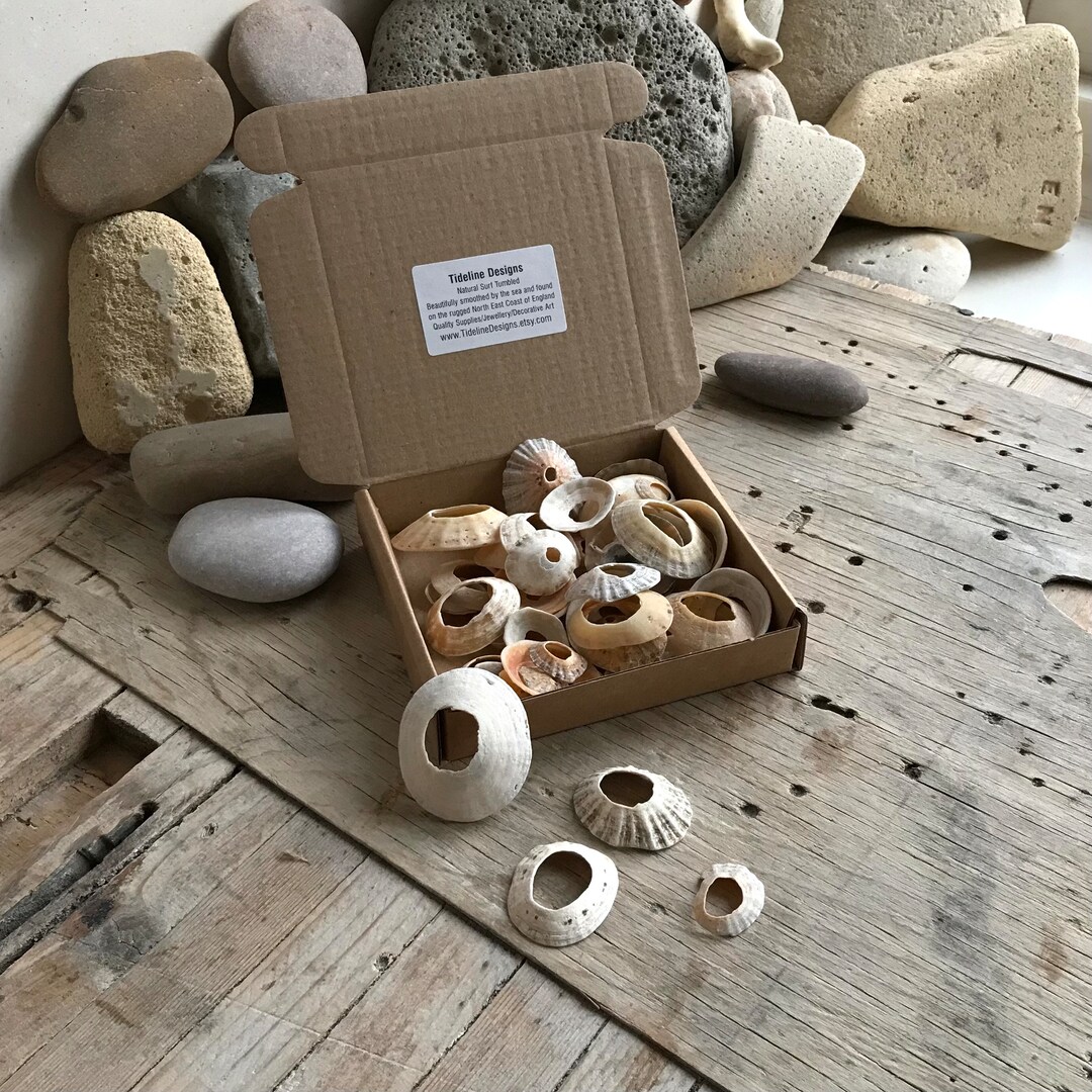 45 Sea Shells With Natural Holes Natural Surf Tumbled Shells Art and ...