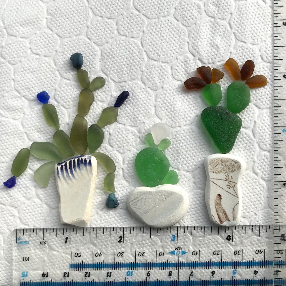 Sea Glass Cactus Plants Natural Surf Tumbled Beach Glass and Sea ...