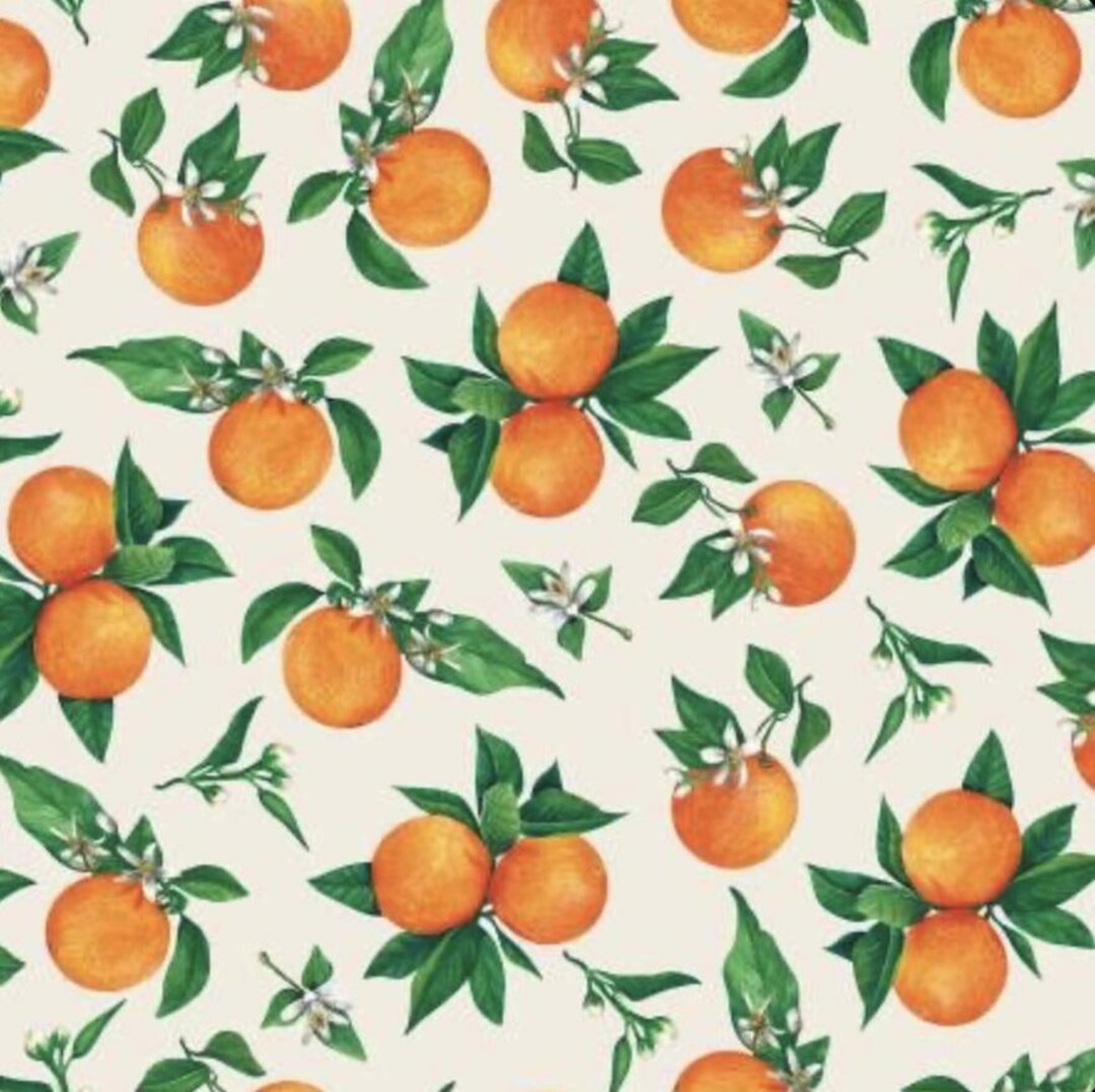 Oranges on Cream Hester and Cook Riley Blake Designs 1 Yard - Etsy