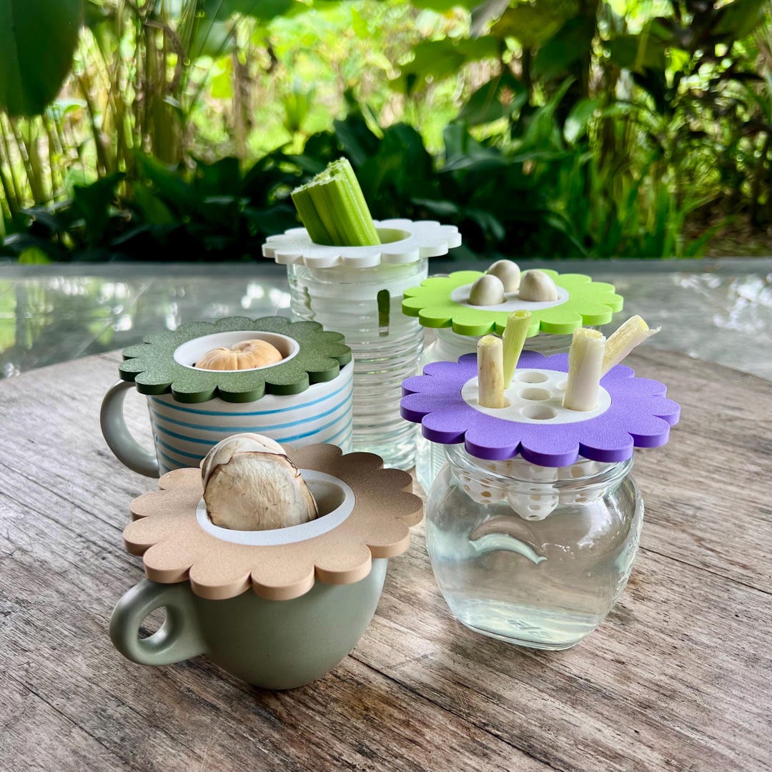 Mason Jar Sprouter Lid | Choose Your Insert | Avocado, Mango, Spring ...