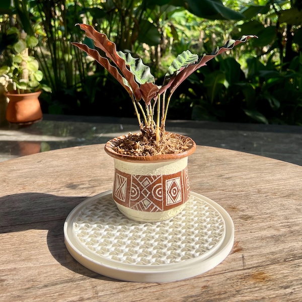 Plant Humidity Tray - Etsy UK