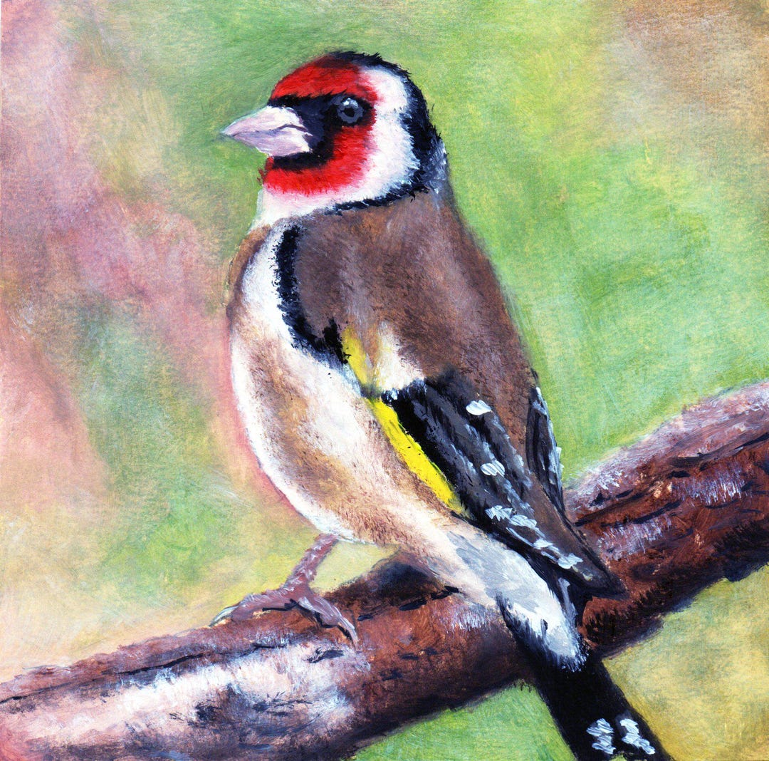 Bird on Branch Realistic Oil Painting Colorful Bird Art 15x15cm ...