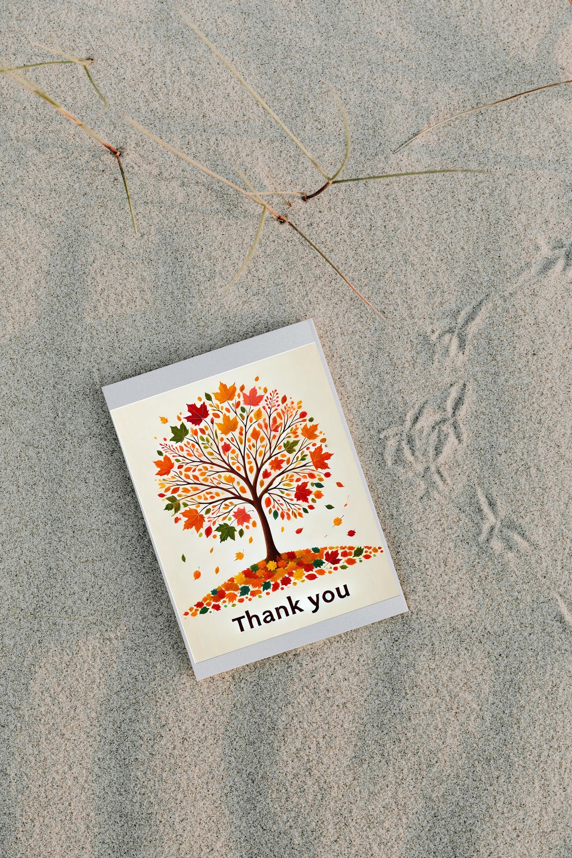 Fall Thank You Autumn Thank You Thank You Autumn Tree Colorful Tree ...