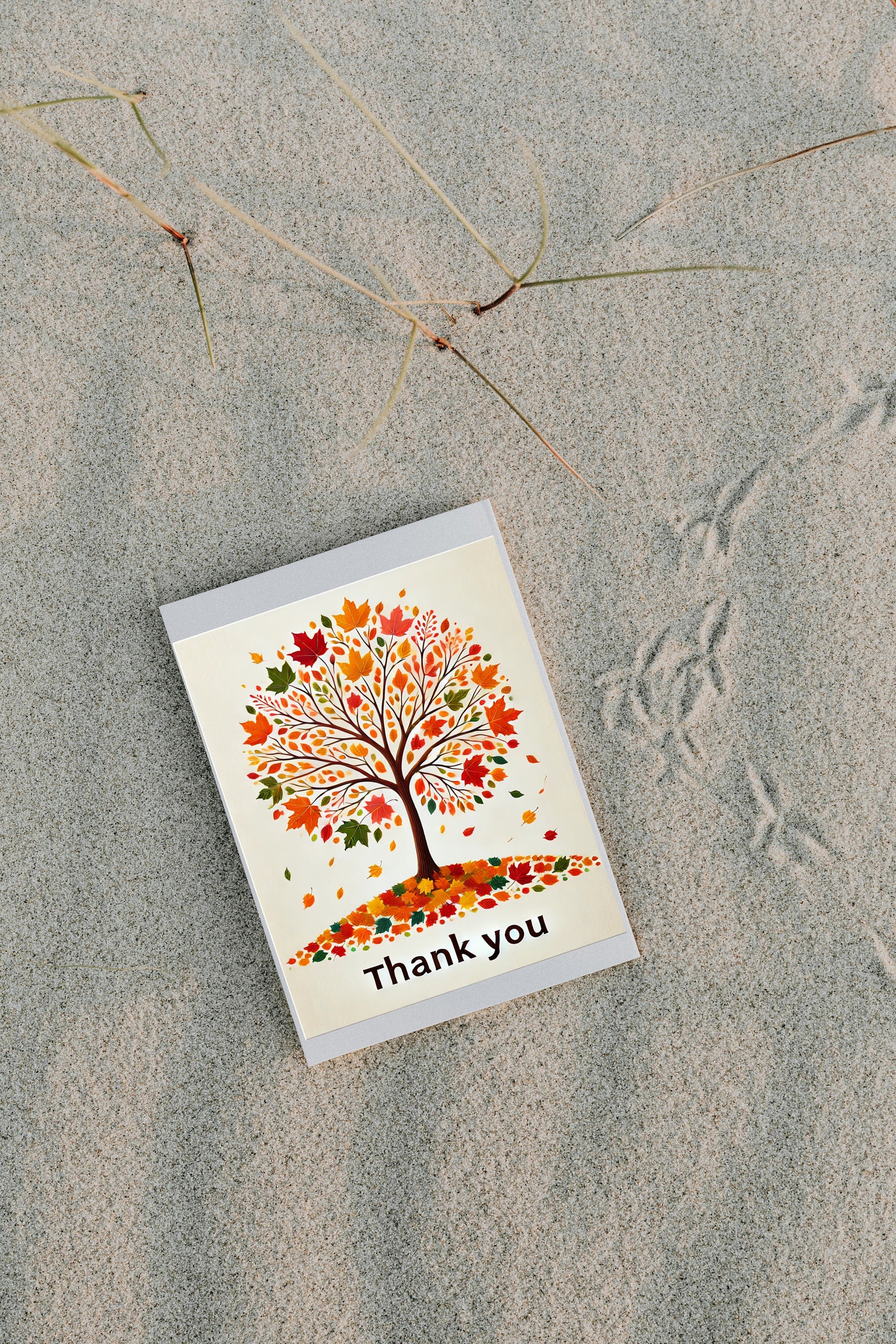 Fall Thank You Autumn Thank You Thank You Autumn Tree Colorful Tree ...